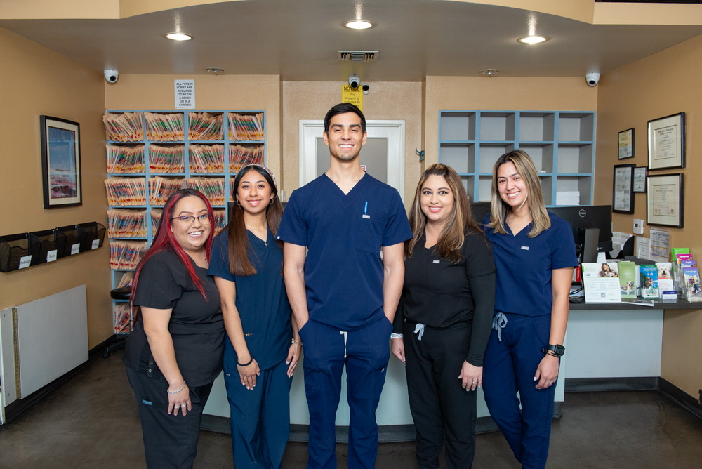 New Pics – Mid Valley Veterinary Hospital